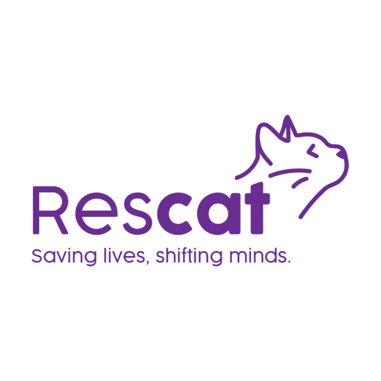 Rescat Charity – Saving lives, shifting minds